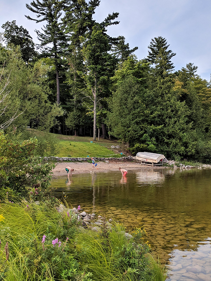 Nature's playground awaits! Onaway State Park's crystal-clear waters and lush greenery invite you to dive into adventure, no floaties required.