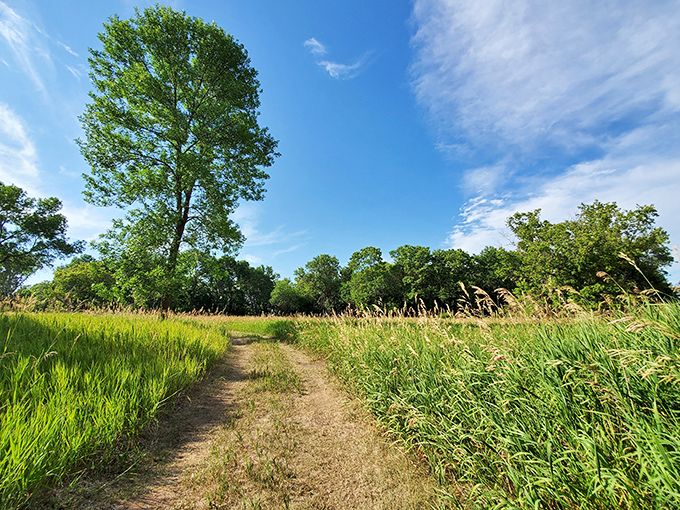 Nature's buffet awaits: Big Stone Lake State Park's diverse trails invite explorers to wander through prairies, forests, and lakeside vistas.