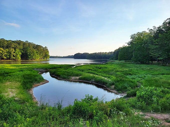 Mother Nature's masterpiece! This winding stream looks like it was painted by Bob Ross himself. Just add some "happy little trees" and voila!