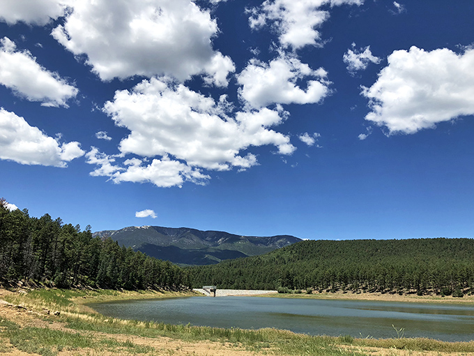 Who needs a green screen when you've got this? Mother Nature's showing off at Morphy Lake State Park, painting a masterpiece of mountains, forests, and crystal-clear waters.