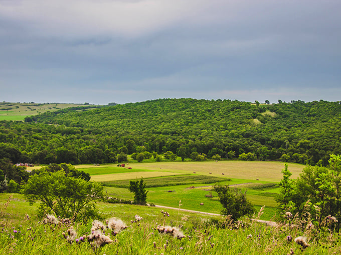 Nature's canvas unfurls: Rolling hills, lush forests, and golden fields paint a landscape that would make Bob Ross reach for his easel. Fort Ransom State Park is North Dakota's masterpiece.