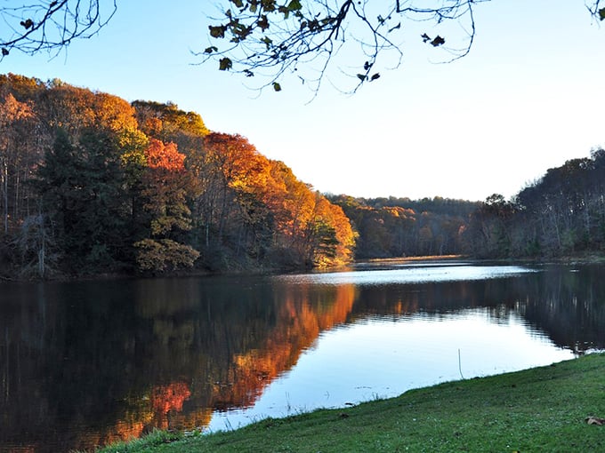 Nature's mirror: Jefferson Lake reflects the sky like a landscape painter's dream come true. Who needs Instagram filters when you've got this view?