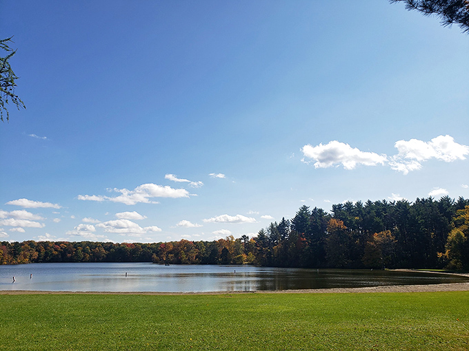 Mirror, mirror on the lake! Findley State Park's pristine waters reflect the sky so perfectly, you'll wonder if you've stumbled into a Bob Ross painting come to life.