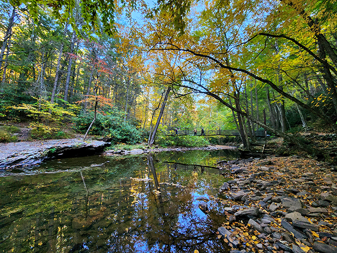 Autumn's masterpiece: Mother Nature's paintbrush transforms Trough Creek into a living, breathing work of art.