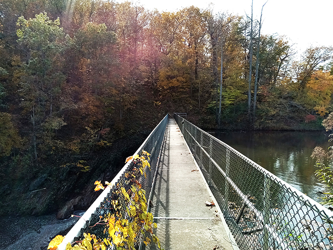 Nature's own waterpark! Bear Creek Lake invites you to follow this bridge for your next unforgettable adventure.
