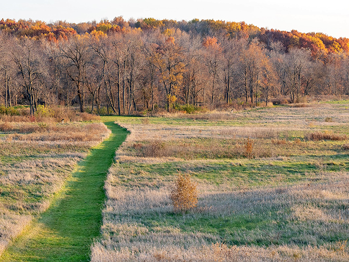Ancient engineering meets Midwest charm! This grassy mound with its wooden stockade is like a prehistoric skyscraper &ndash; minus the elevator and overpriced coffee shop.