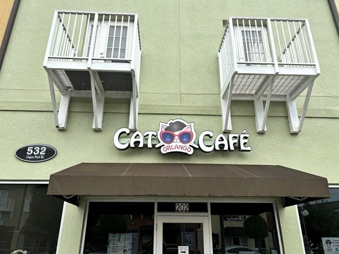 Welcome to the Cat Caf&eacute;, where feline fantasies come true! This mint-green building houses more purr-sonality than your average coffee shop.