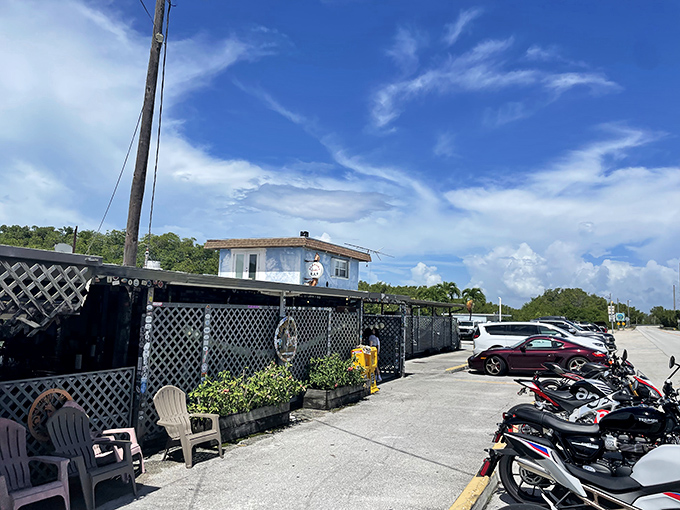 Welcome to seafood paradise! Alabama Jack's rustic charm is like a warm hug from your favorite beach-loving uncle.