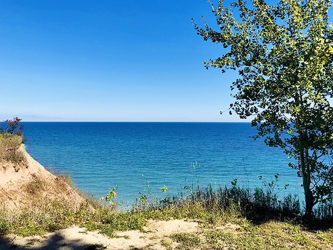 A breathtaking view of Lake Michigan from the bluffs of Lion's Den Gorge Nature Preserve, where azure waters meet rugged shoreline under an endless blue sky.