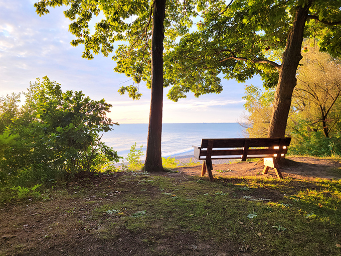 Nature's own fireworks display! Lakeport State Park's autumn colors paint a masterpiece that would make Bob Ross weep with joy. Who needs Netflix when you've got this view?
