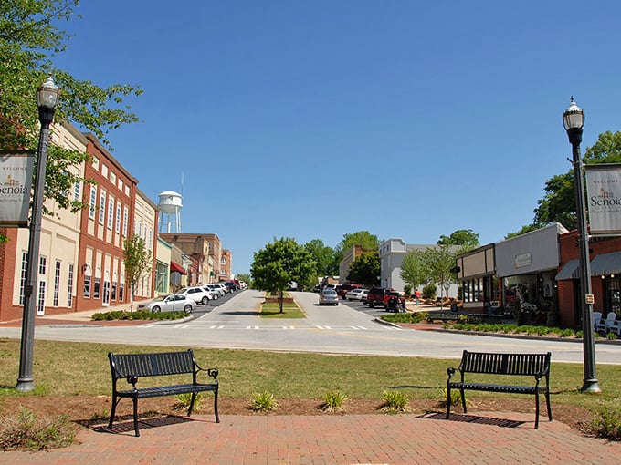 Main Street magic! Senoia's charming thoroughfare is like a Norman Rockwell painting come to life, with a dash of Hollywood sparkle.