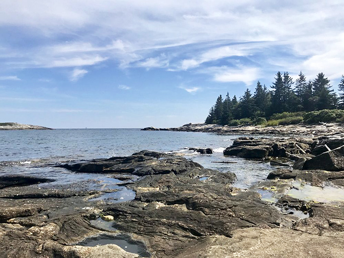 Nature's jigsaw puzzle: Reid State Park's rocky shoreline invites you to play connect-the-dots with tidal pools and barnacle-covered boulders. Who needs a spa day when you've got this natural foot massage?