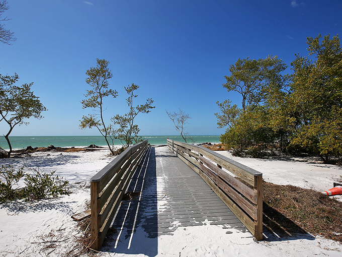 A bridge to paradise! This wooden walkway invites you to leave your worries behind and step into a postcard-perfect Florida beach scene.