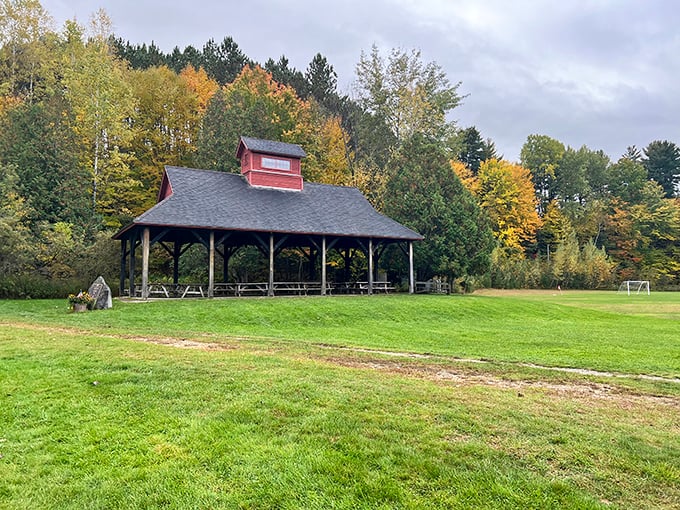 A postcard-perfect pavilion beckons, surrounded by a sea of green. This isn't just a park; it's nature's living room, complete with a rustic coffee table.