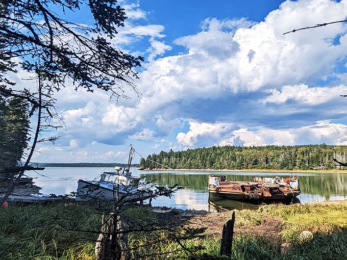 Nature's own postcard! Roque Bluffs serves up a visual feast of tranquil waters, rustic boats, and evergreen-lined shores. It's like Maine decided to show off all its best features in one frame.