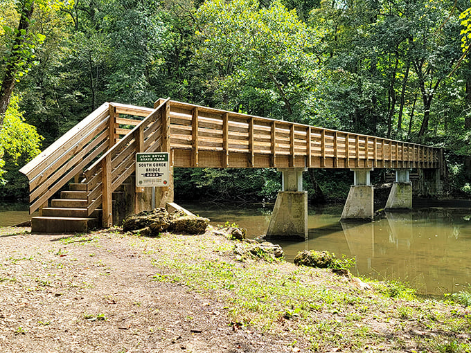 "A bridge to adventure! This wooden walkway isn't just crossing water, it's spanning the gap between everyday life and nature's playground."