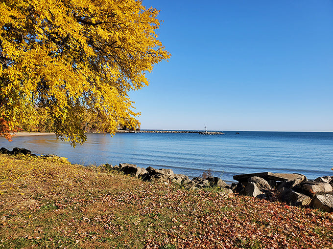 "Lake Erie's siren song: Where the horizon meets possibility." A serene shoreline beckons, promising adventure and relaxation in equal measure at Kelleys Island State Park.