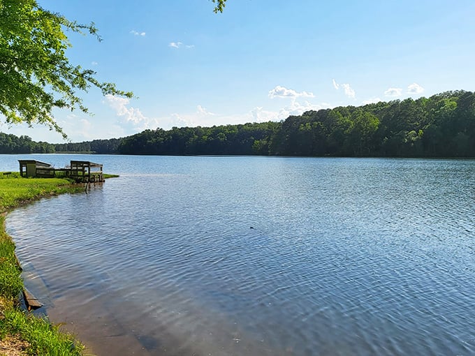 Mirror, mirror on the lake, who's the fairest state park of them all? Lake Lurleen's glassy waters reflect a paradise that would make even Snow White jealous.