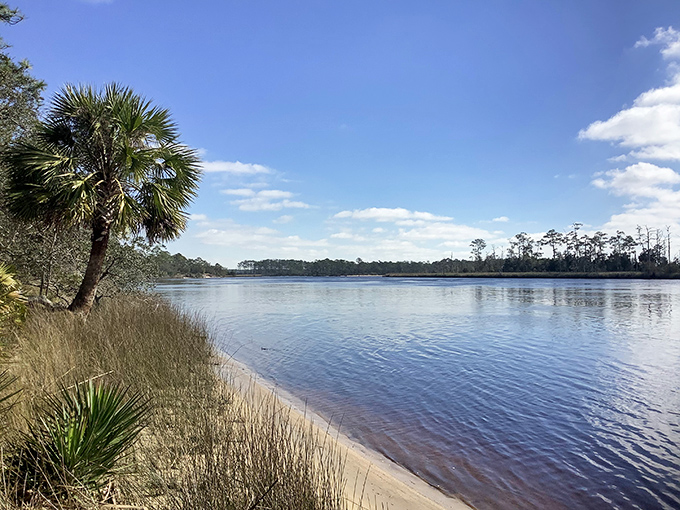 Nature's mirror: The Ochlockonee River reflects the sky like a giant, watery selfie stick. Florida's hidden gem serves up serenity with a side of breathtaking views.