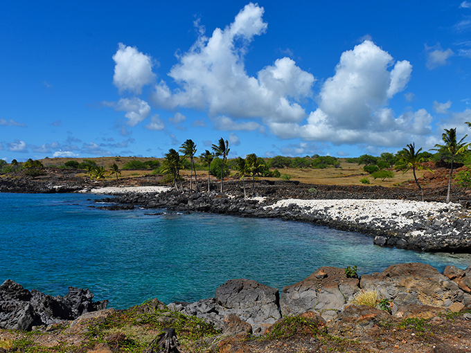 Nature's masterpiece unfolds: Lapakahi's coastline is like a Bob Ross painting come to life, minus the "happy little trees" &ndash; they're all palm trees here!