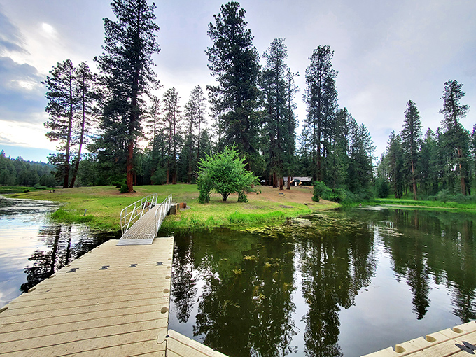 Mirror, mirror on the lake! Winchester's waters reflect nature's masterpiece, creating a double dose of pine-scented paradise.