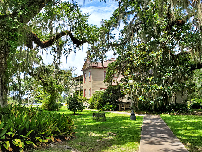 Enchanting garden or nature's TV? This pathway offers front-row seats to Louisiana's most captivating show.