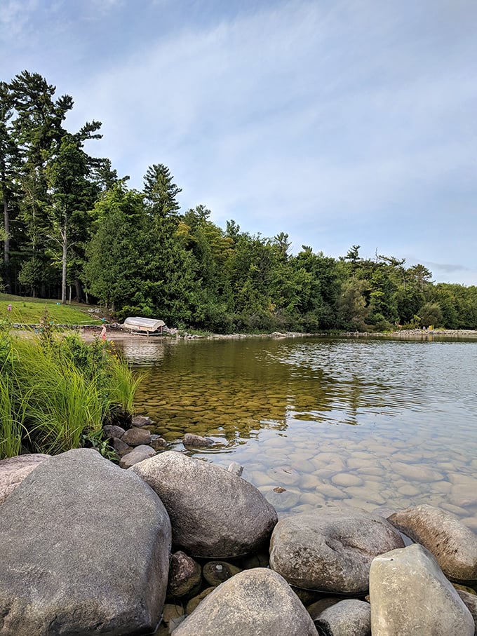 Nature's playground awaits! Onaway State Park's crystal-clear waters and lush greenery invite you to dive into adventure, no floaties required.