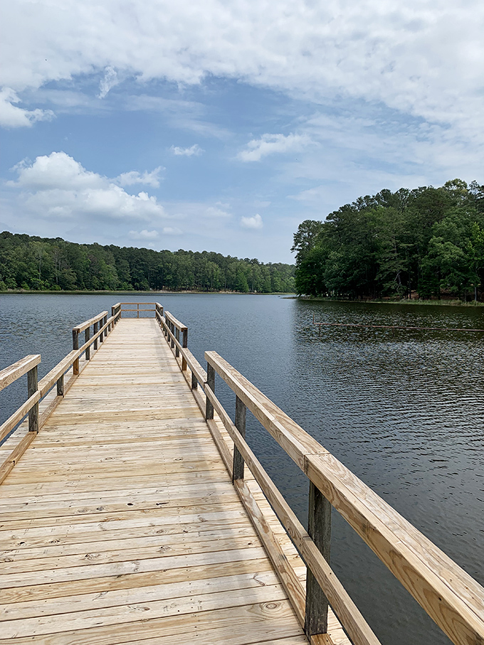 A wooden walkway to wonder! This pier invites you to stroll into serenity, where the lake's mirror-like surface reflects your inner calm.