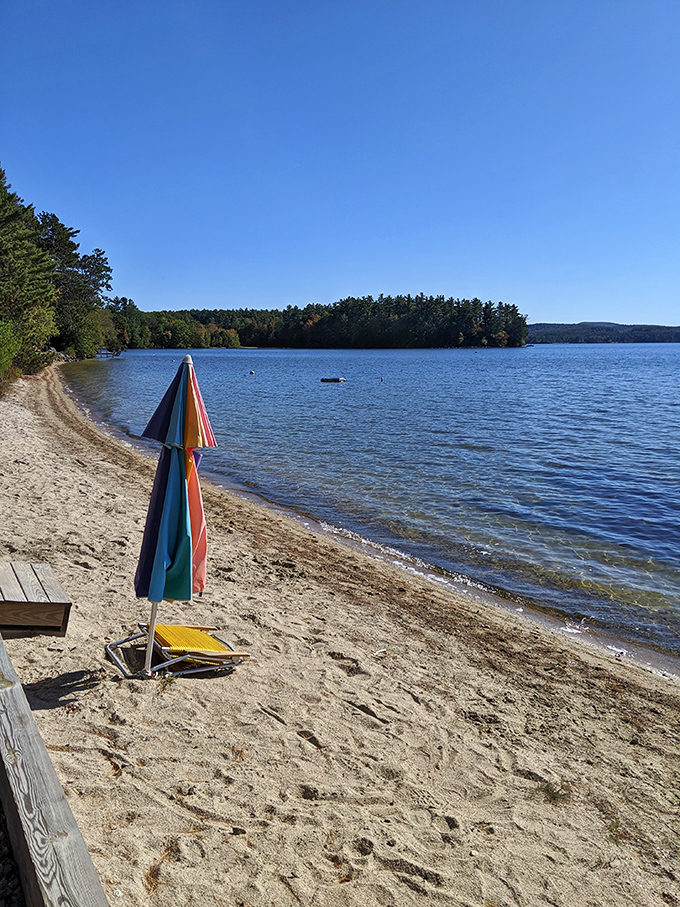 "Who needs a beach umbrella when you've got nature's own sunshade?" Towering pines frame a serene lakeside scene, inviting visitors to bask in New Hampshire's natural beauty.