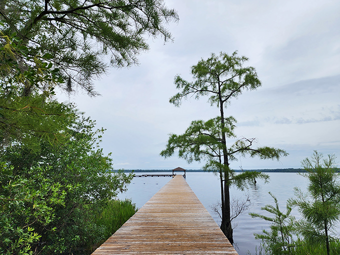 Who needs a Caribbean getaway when you've got this? Singletary Lake's wooden pier stretches into tranquil waters, inviting you to leave your worries on the shore.