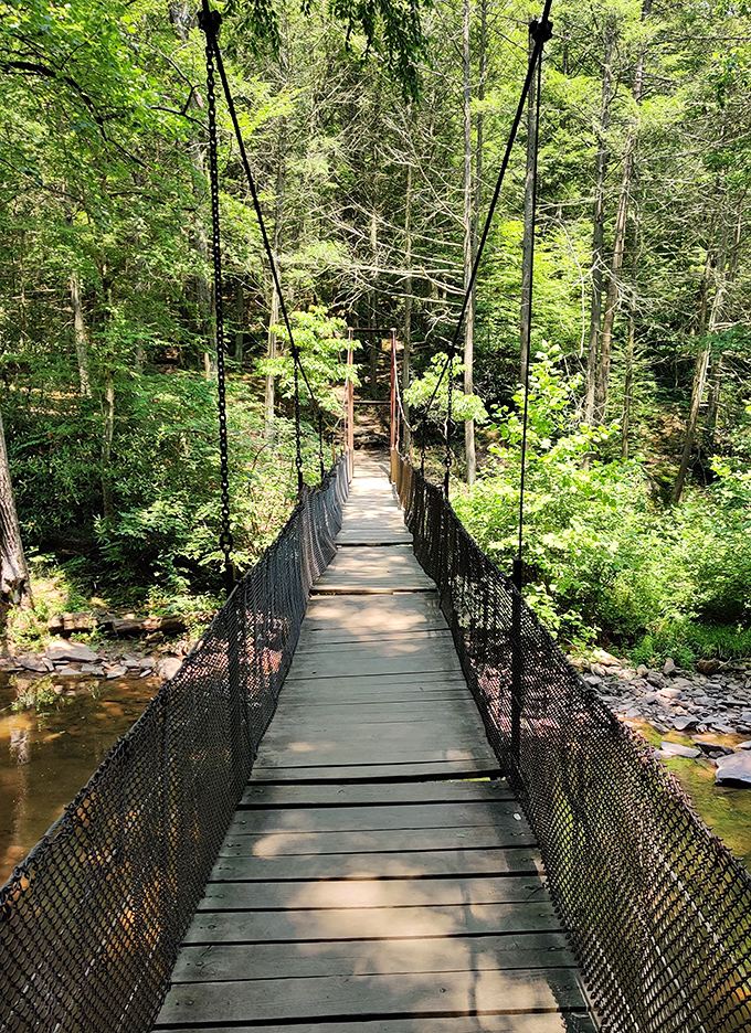 A bridge to tranquility: Where nature's symphony plays and stress floats away like leaves on the creek.