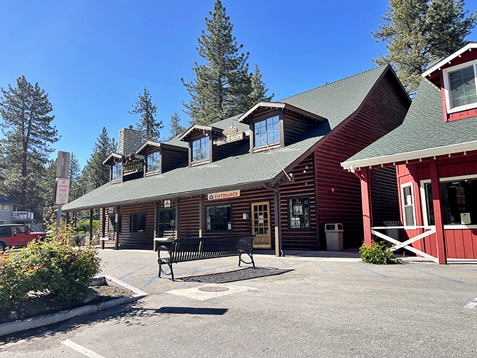 A log cabin that promises culinary adventures! The Grizzly Cafe stands tall among the pines, beckoning hungry travelers with its rustic charm and mouthwatering aromas.