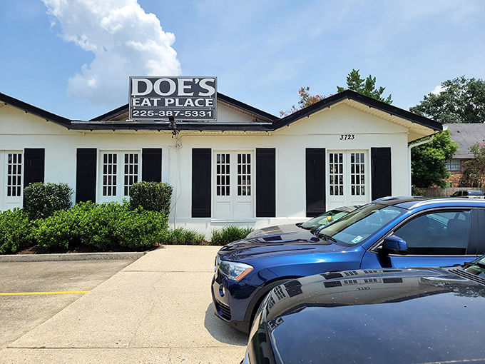 Doe's Eat Place: Where steak dreams come true and diet plans go to die. This unassuming white building houses a carnivore's paradise that'll make your taste buds do a happy dance.