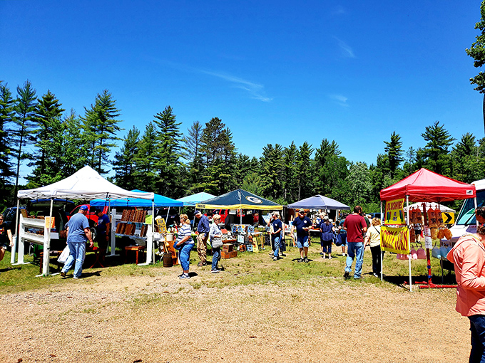 A treasure hunter's paradise! Colorful tents dot the landscape like a patchwork quilt of possibilities, each one promising hidden gems and quirky finds.