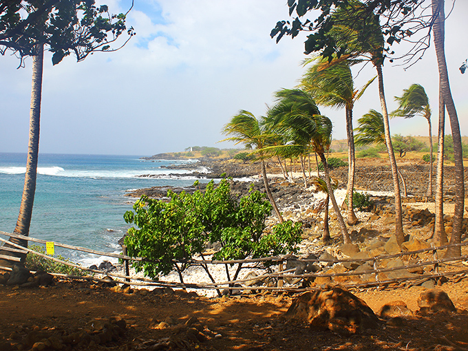 Nature's masterpiece unfolds: Lapakahi's coastline is like a Bob Ross painting come to life, minus the "happy little trees" &ndash; they're all palm trees here!