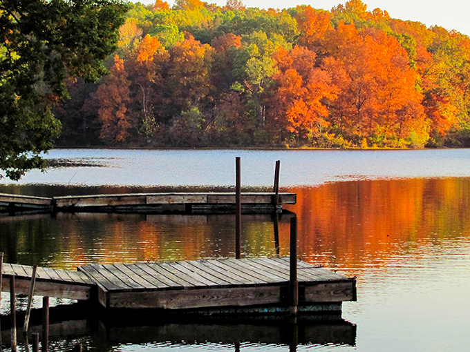 Nature's own masterpiece: Lake Murphysboro in autumn. It's like Bob Ross went wild with his happy little trees, creating a scene so vibrant it puts HD TVs to shame.