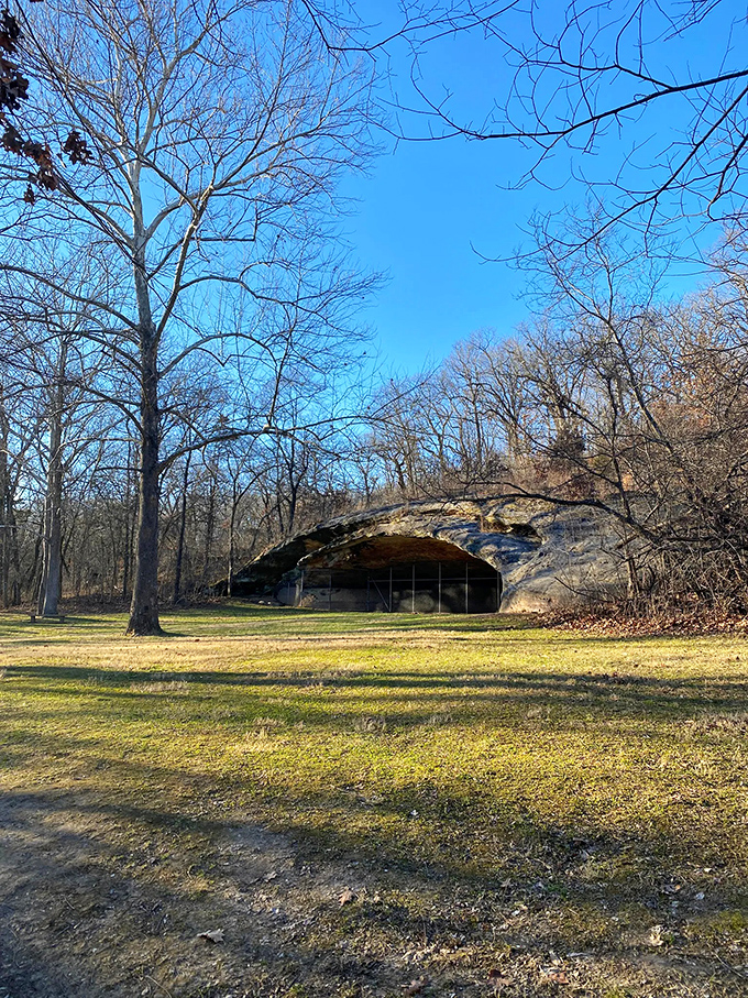 A mysterious cave beckons, promising adventure and prehistoric secrets. Indiana Jones, eat your heart out!