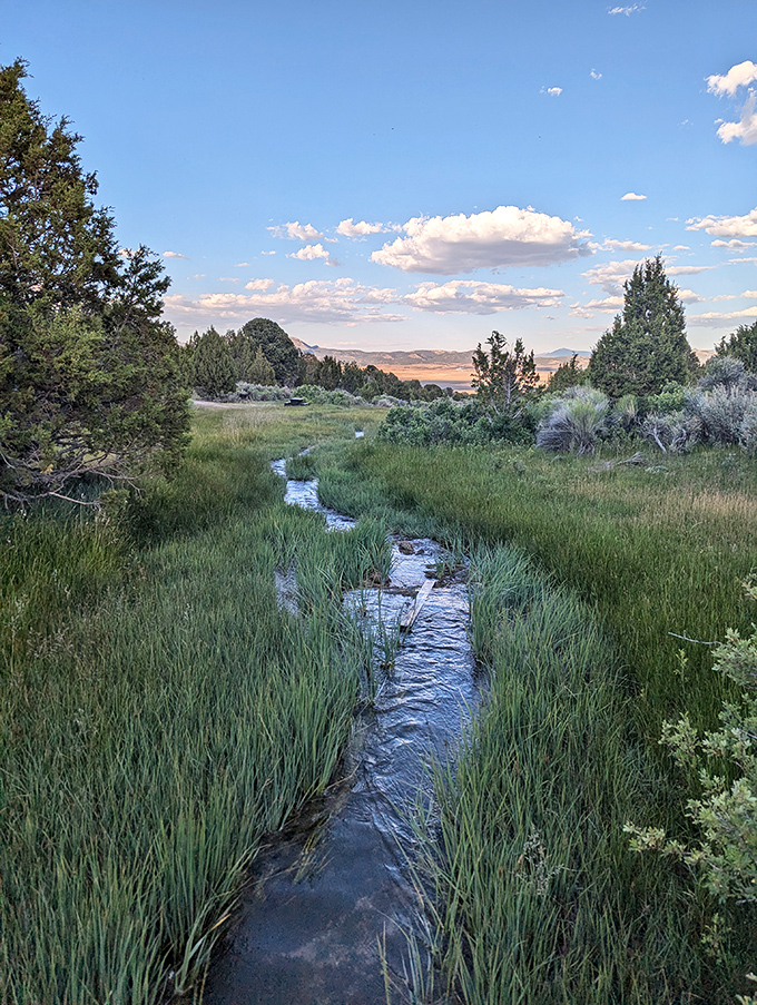 A path less traveled leads to wonders untold. This winding trail through Ward Charcoal Ovens State Historic Park promises adventure and a dash of Nevada's rugged charm.