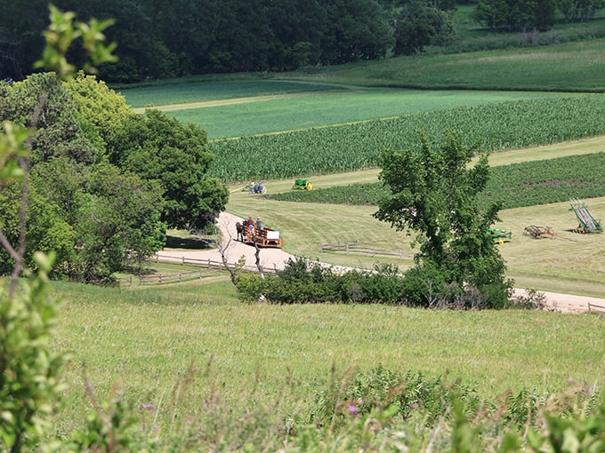 Nature's canvas unfurls: Rolling hills, lush forests, and golden fields paint a landscape that would make Bob Ross reach for his easel. Fort Ransom State Park is North Dakota's masterpiece.