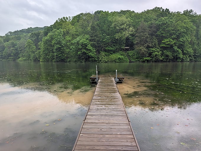 Nature's mirror: Jefferson Lake reflects the sky like a landscape painter's dream come true. Who needs Instagram filters when you've got this view?