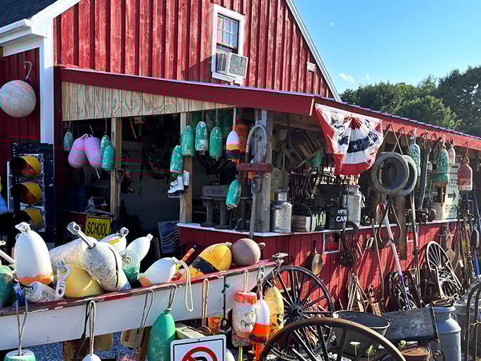 A treasure hunter's paradise! This vibrant red barn isn't just a building; it's a portal to the past, bursting with colorful buoys and vintage charm.