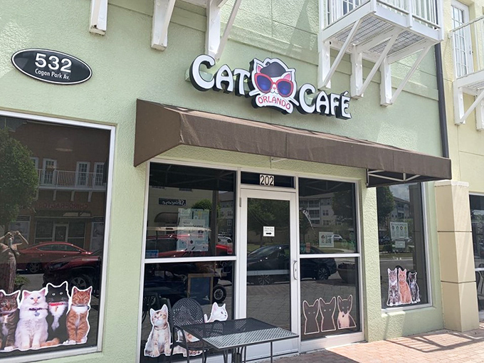 Welcome to the Cat Caf&eacute;, where feline fantasies come true! This mint-green building houses more purr-sonality than your average coffee shop.
