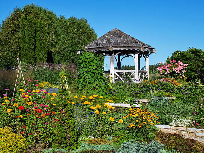 A floral paradise awaits! This gazebo, surrounded by a riot of colors, looks like Mother Nature's own VIP lounge. Who needs a red carpet when you've got a rainbow of petals?