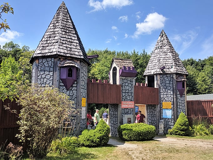 Welcome to Hogwarts! Oh wait, it's the Great Lakes Medieval Faire entrance. Same magical vibe, fewer owls delivering mail.