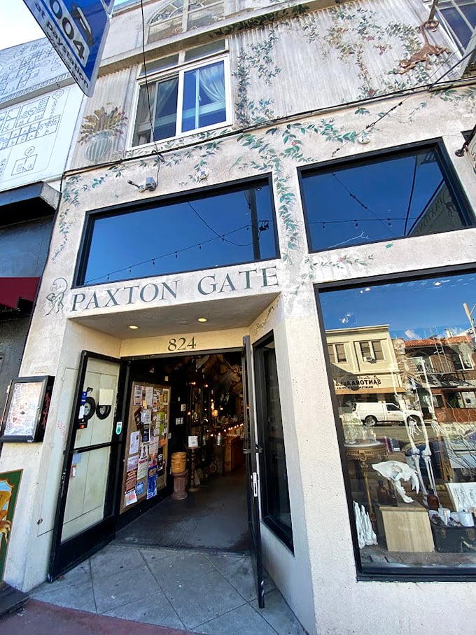 Welcome to Paxton Gate, where curiosity meets whimsy! This unassuming storefront in San Francisco's Mission District hides a treasure trove of natural wonders and oddities.
