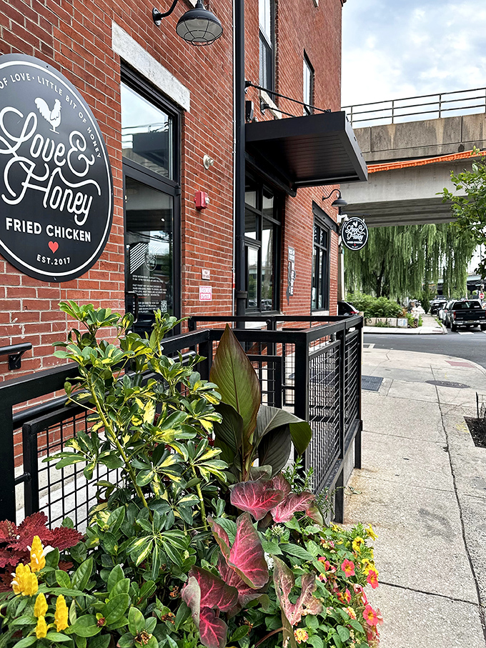 A beacon of crispy goodness in the night! Love & Honey's storefront promises a fried chicken adventure that'll make your taste buds do a happy dance.