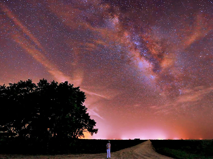 Nature's own canvas: Swaying grasses paint the foreground while a cluster of palm trees stands tall, like Florida's version of Stonehenge.