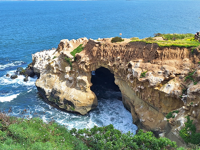 La Jolla's coastline: Where Mother Nature flexed her artistic muscles and created a masterpiece that puts Picasso to shame.