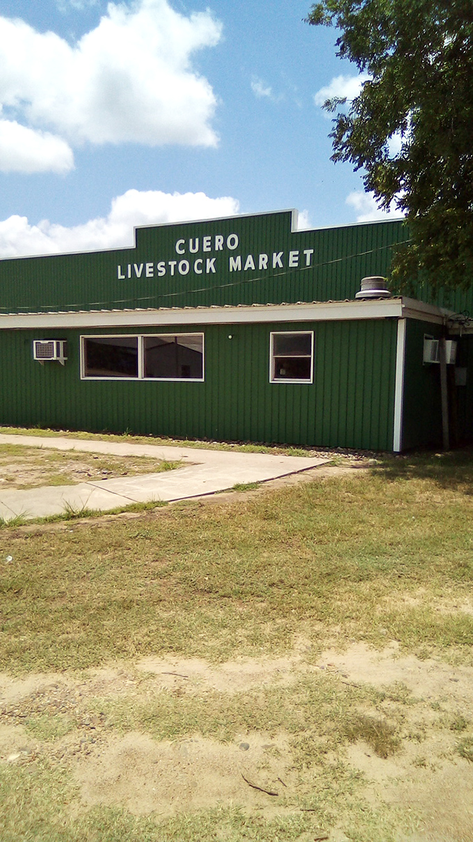 Cuero Livestock Commission, Inc.: Where's the beef? Right here in Cuero! This place is like the Wall Street of cattle trading, Texas-style.