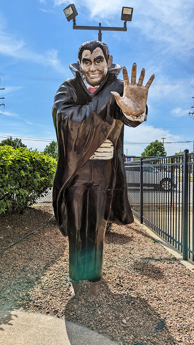 "I vant to velcome you to the park! This charming Count seems more interested in giving high-fives than finding his next neck to nibble."